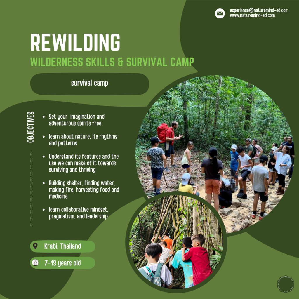 REWILDING - wilderness skills & survival camp - naturemind-ed